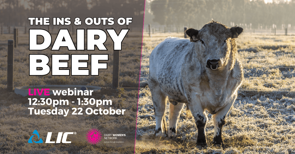 The Ins & Outs of Dairy Beef - LIVE WEBINAR - Dairy Women's Network