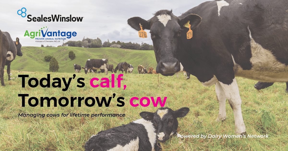 Today’s calf, tomorrow’s cow - Southland - Dairy Women's Network