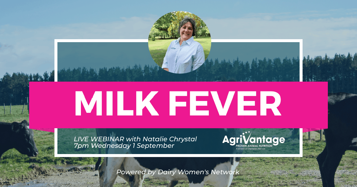 Milk Fever Webinar - Live - Dairy Women's Network