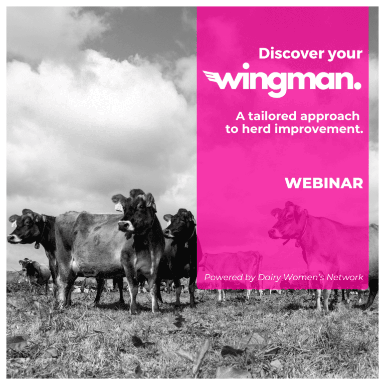 Discover Your Wingman - Dairy Women's Network