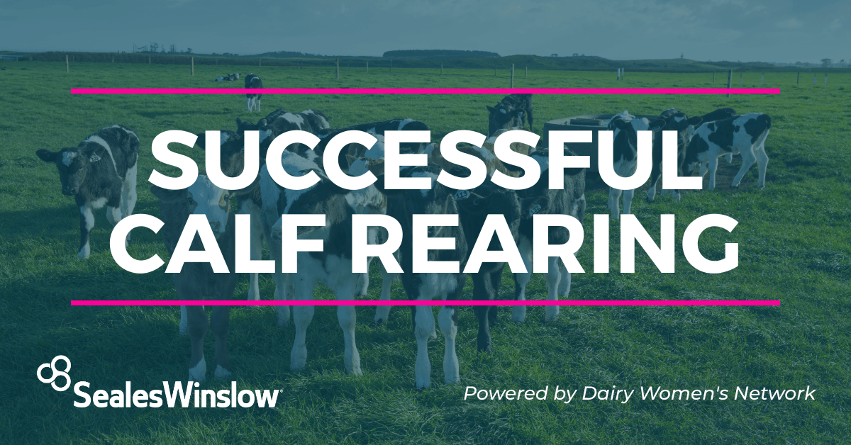 Successful Calf Rearing - North Canterbury - Dairy Women's Network