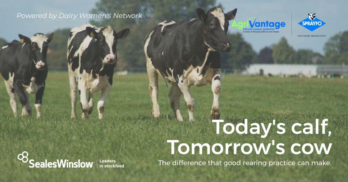 Today's Calf, Tomorrow's Cow - Waikato - Dairy Women's Network